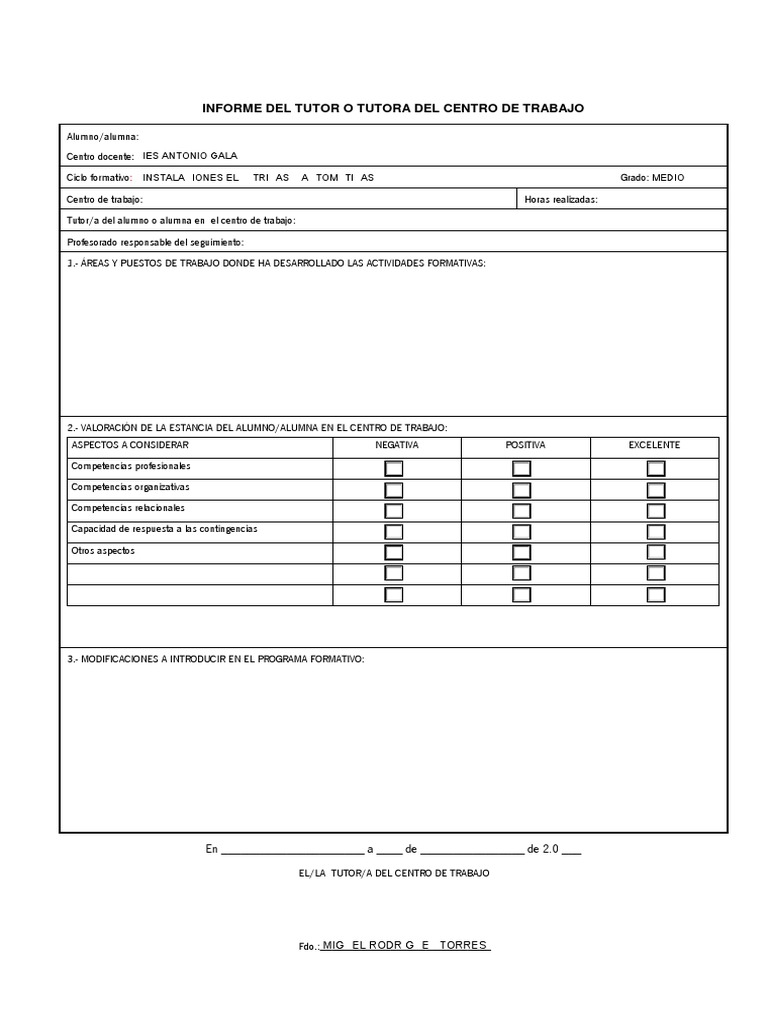 Informe Tutor Laboral PDF | PDF