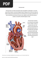 Structure and Function of Human Heart | PDF
