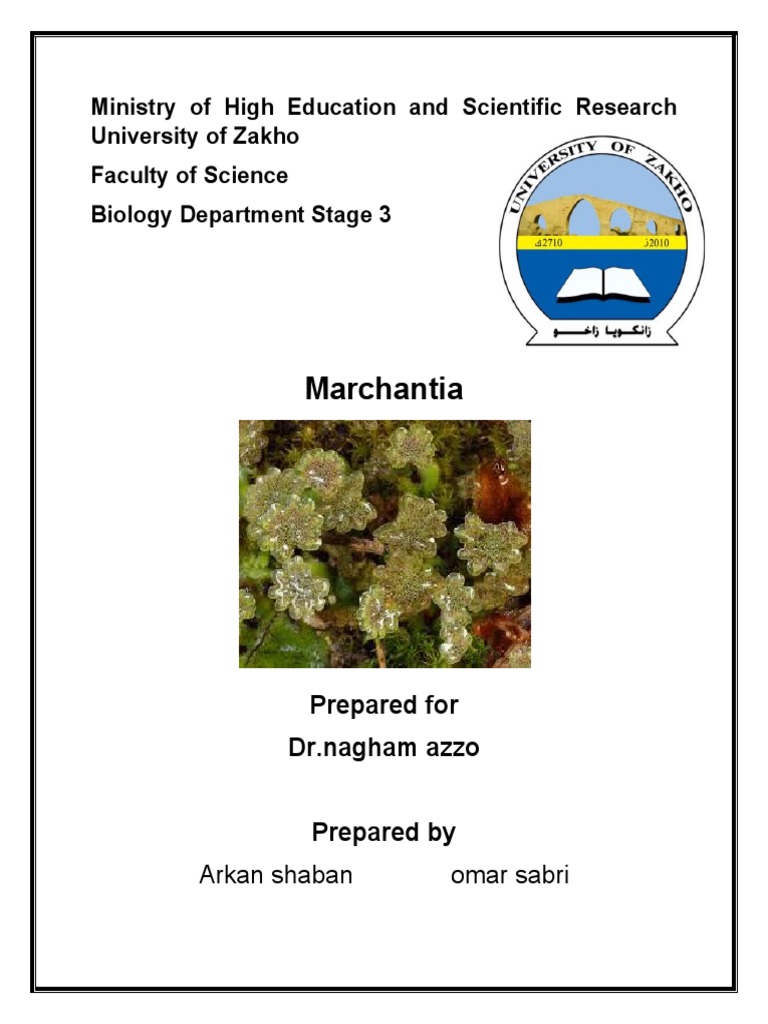 How Did Watson and Crick's Approach Generally | PDF | Biological ...