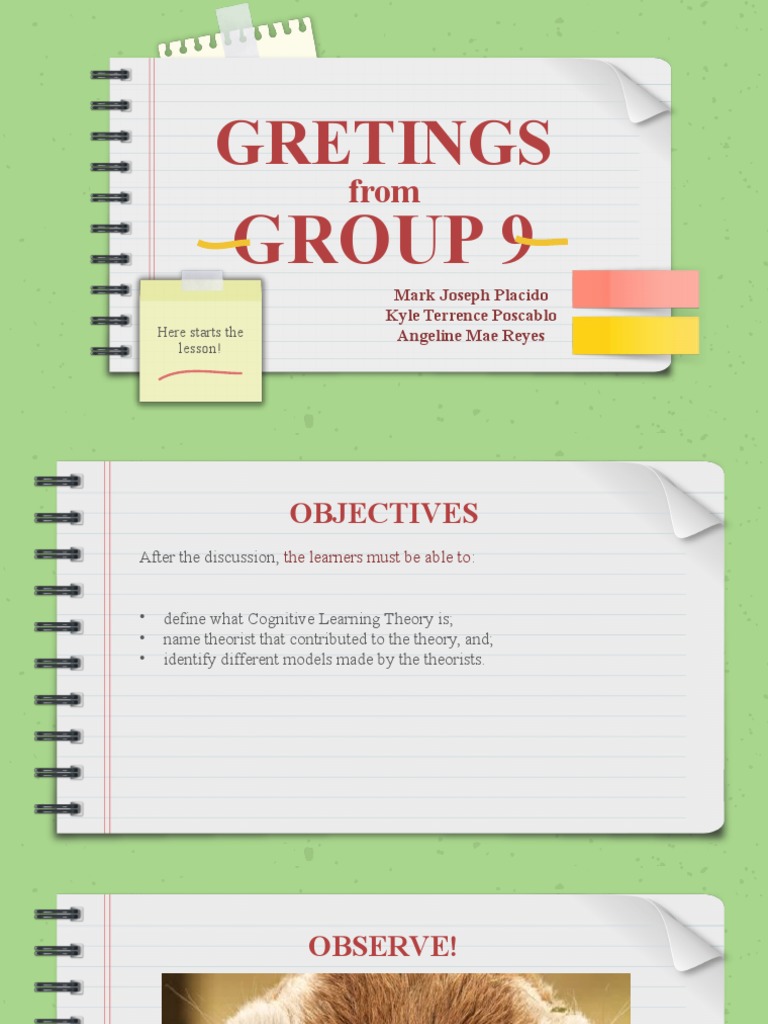 Cognitive Learning Theory | PDF | Learning Theory (Education) | Learning