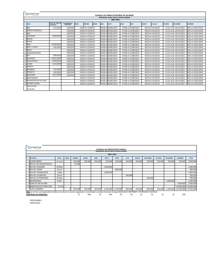 Planilla General de Raquel Garcia | PDF