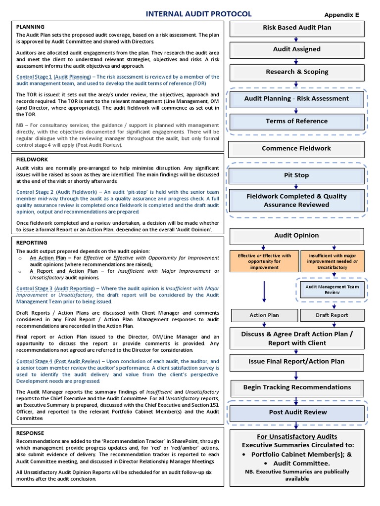 10.1 Apendix E. Internal Audit Progress Report Audit Protocol PDF | PDF ...