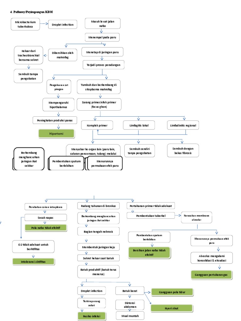 Pathway Kasus TB Paru | PDF