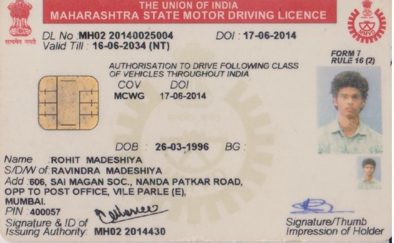 Driving License.pdf | PDF