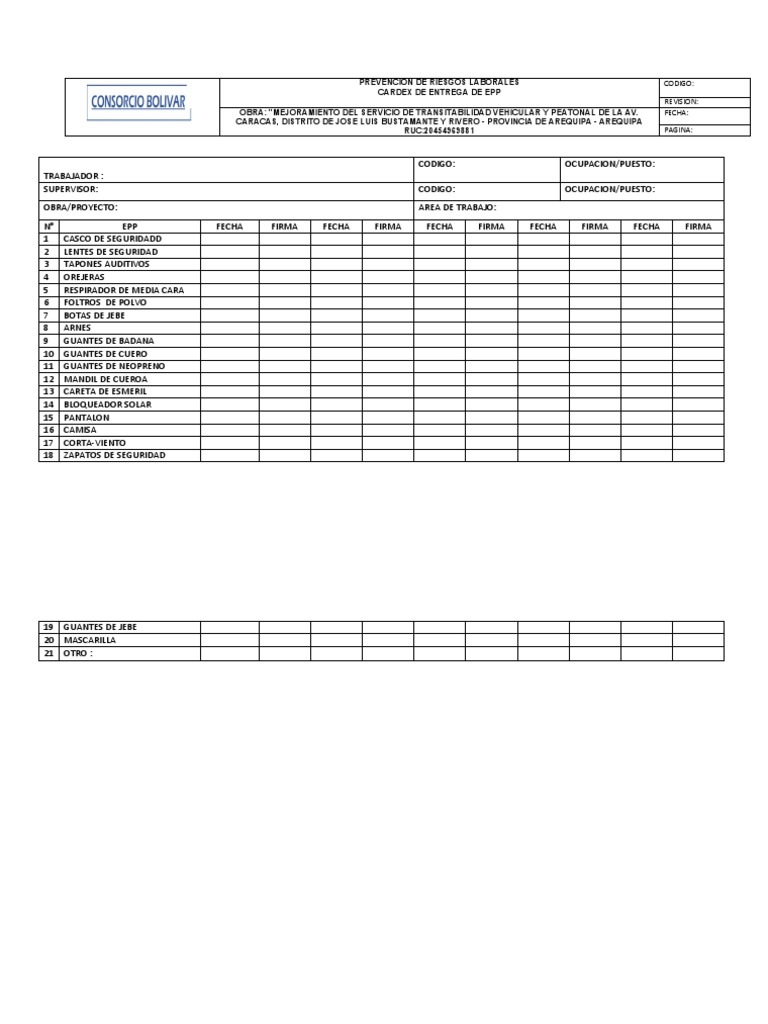 Formato Cardex de Entrega de Epp | PDF