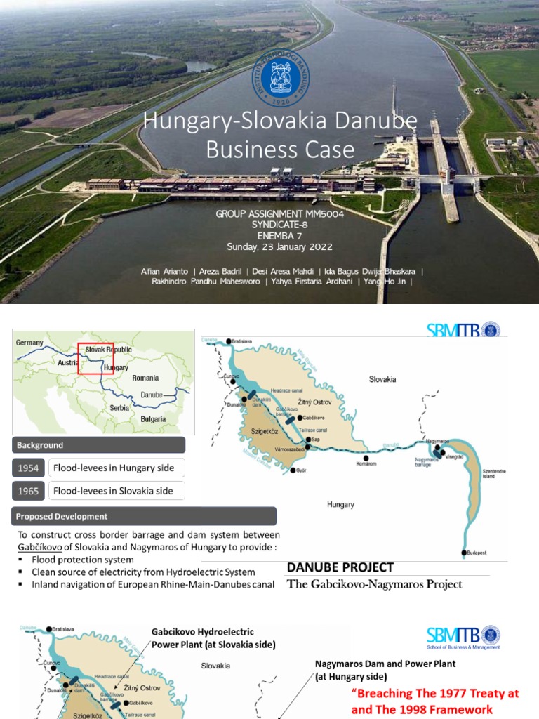 Syndicate 8 - Danube Case - MM5004 - Revised - 5 | PDF | Economies