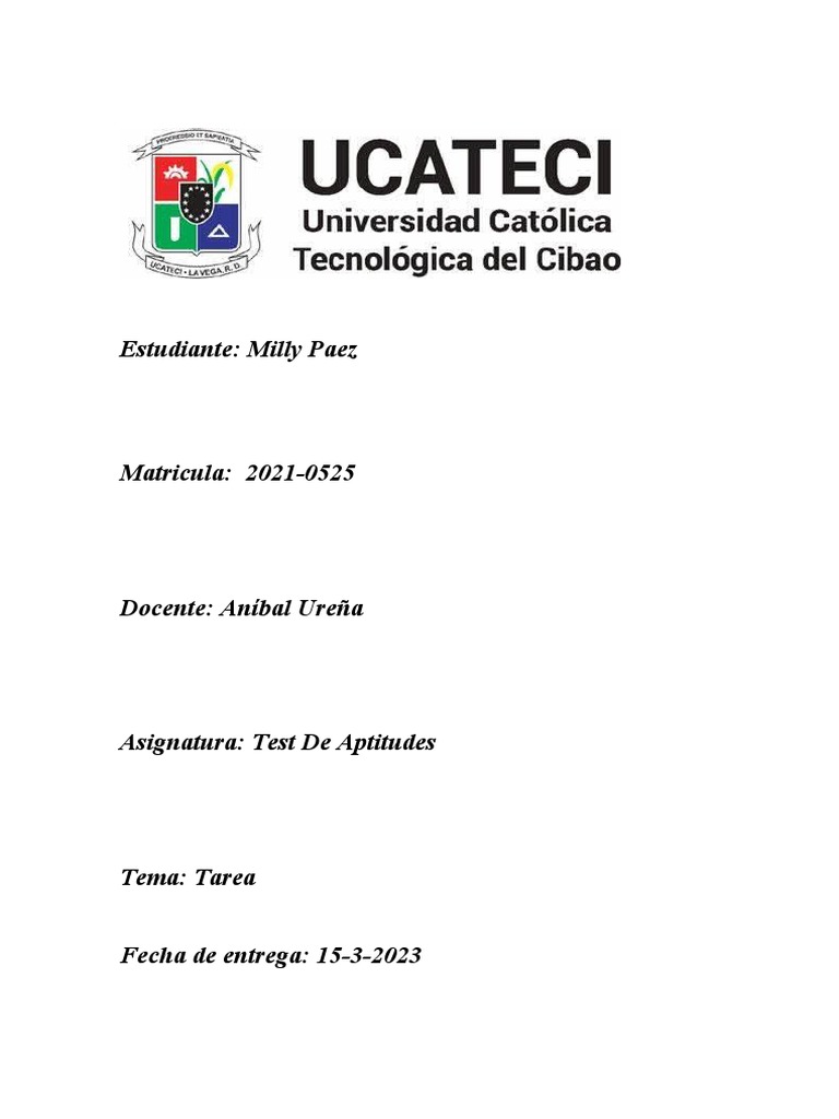 Informe de Prueba Pip | PDF