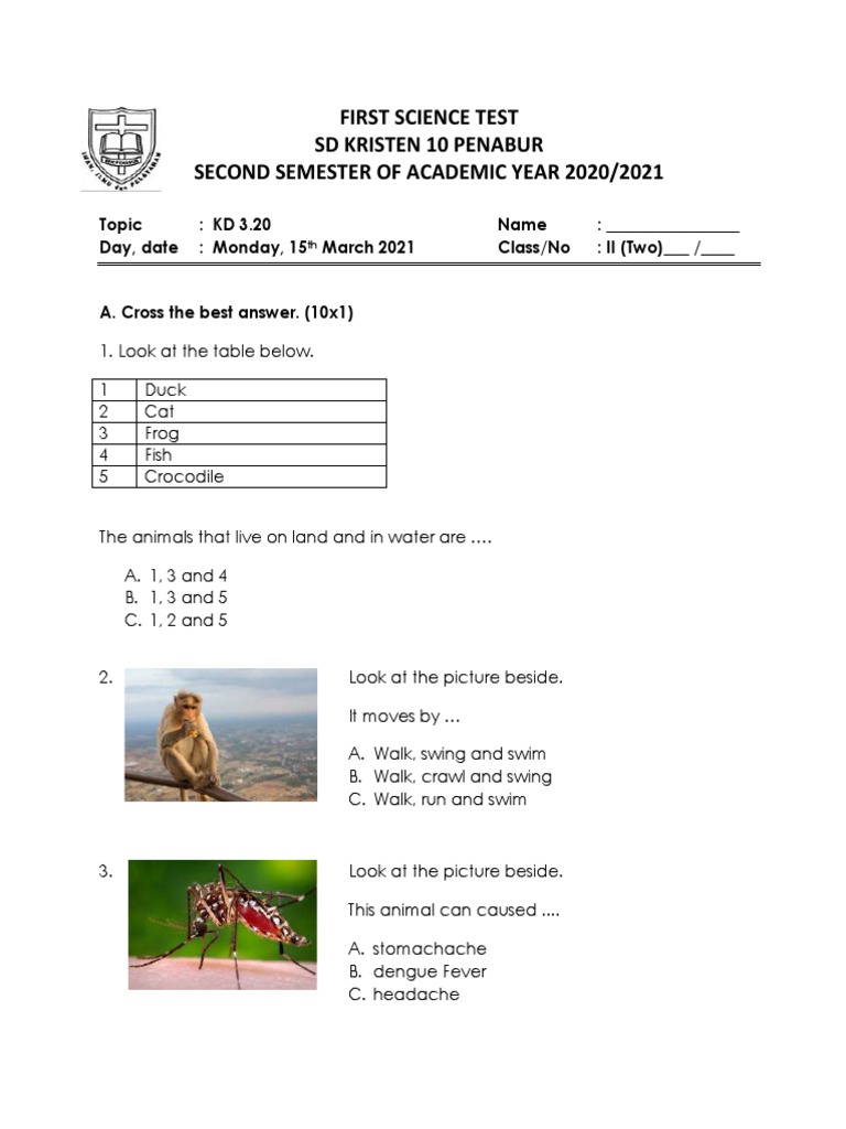 Science Test and Answer Key, Animals and Plants PDF | Download Free PDF ...