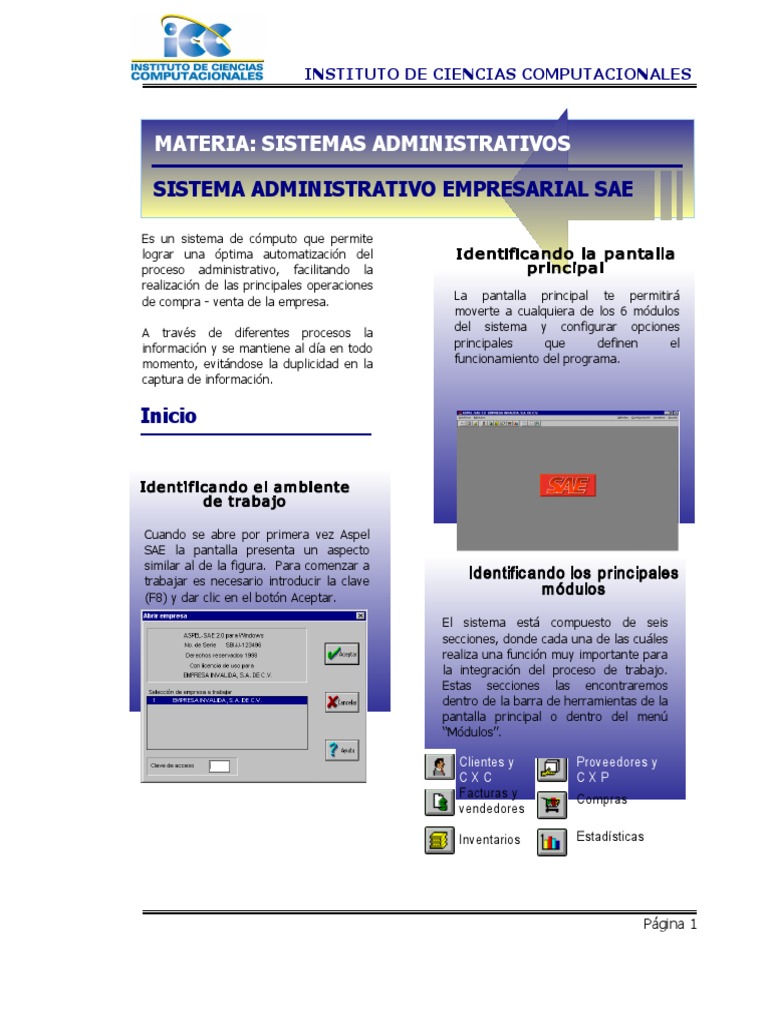 Sistema SAE para Automatización Administrativa | PDF | Inventario | Archivo de computadora