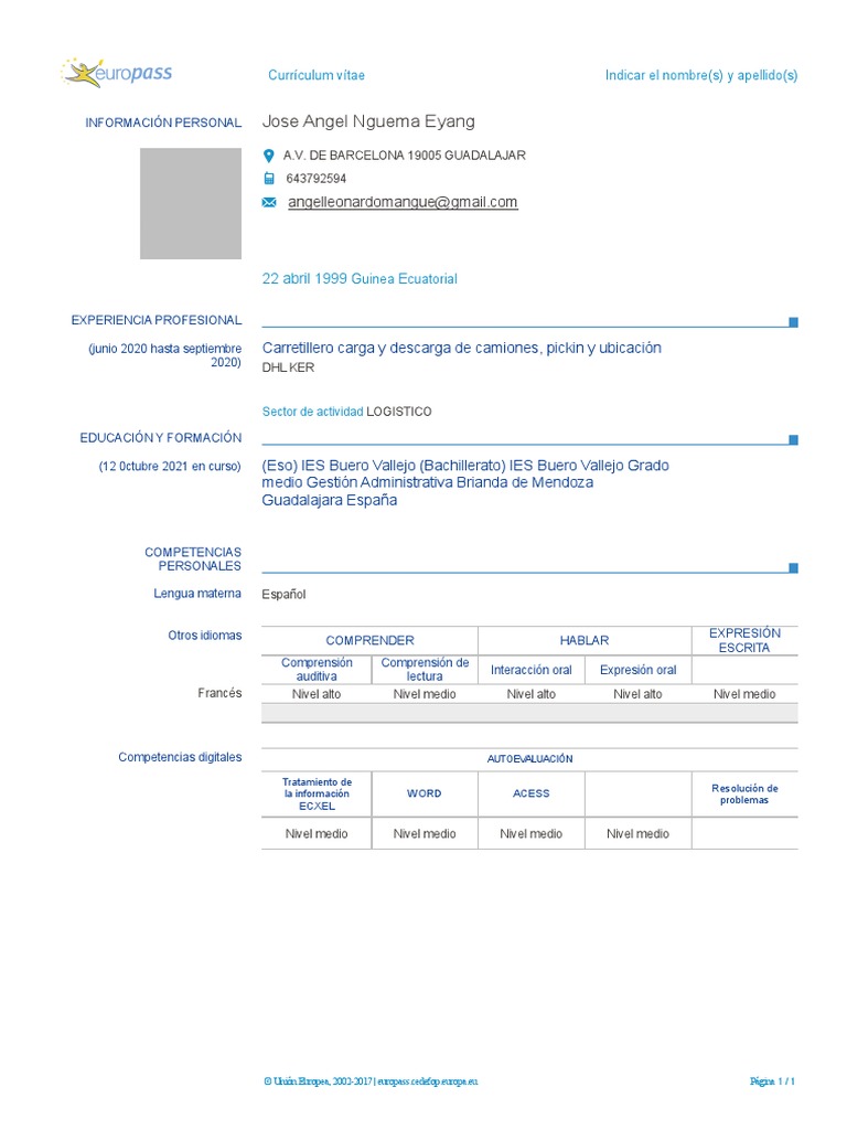 Plantilla Europass | Descargar gratis PDF | Cognición | Lingüística