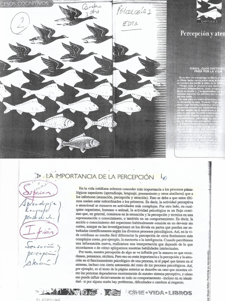 PSICO 1. Carretero Percepción y Atención PDF | PDF