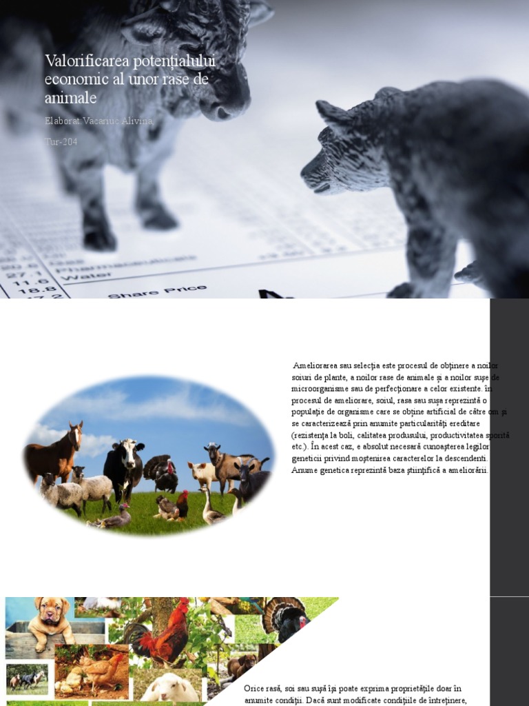 Animale | PDF