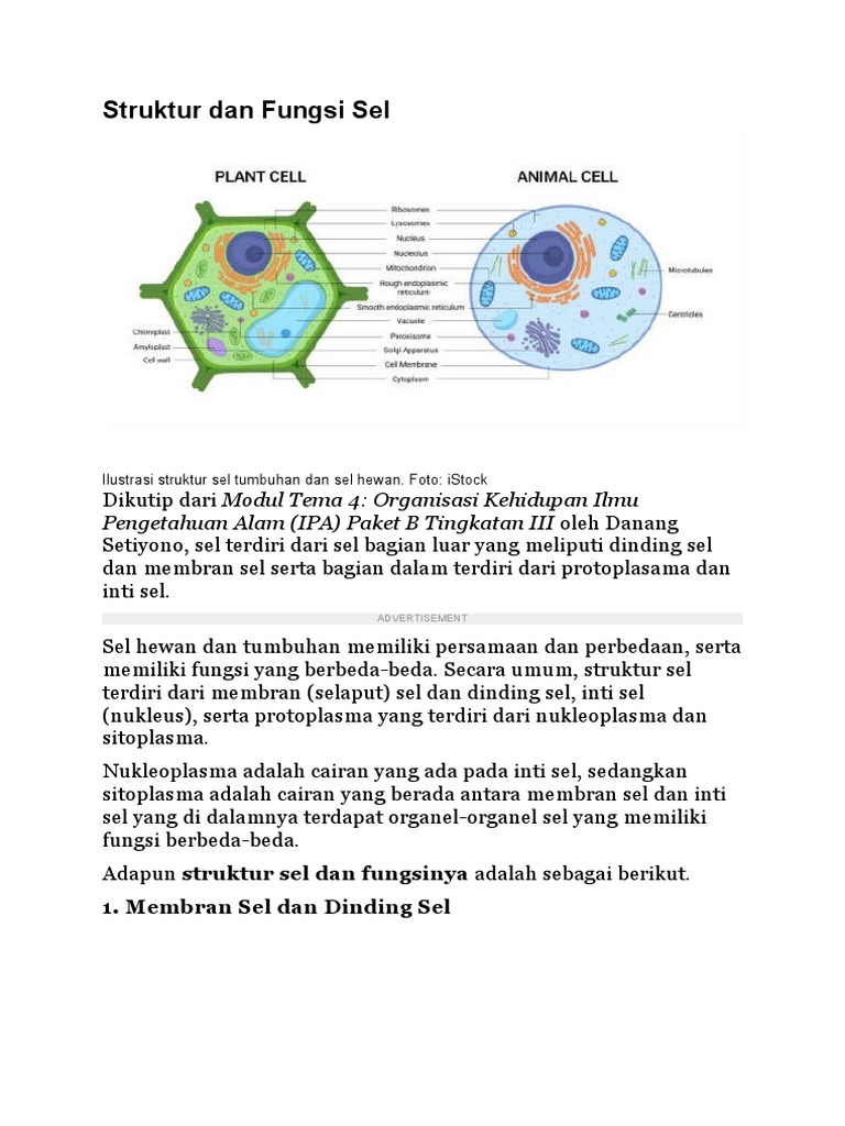 STRUKTUR DAN FUNGSI SEL | PDF