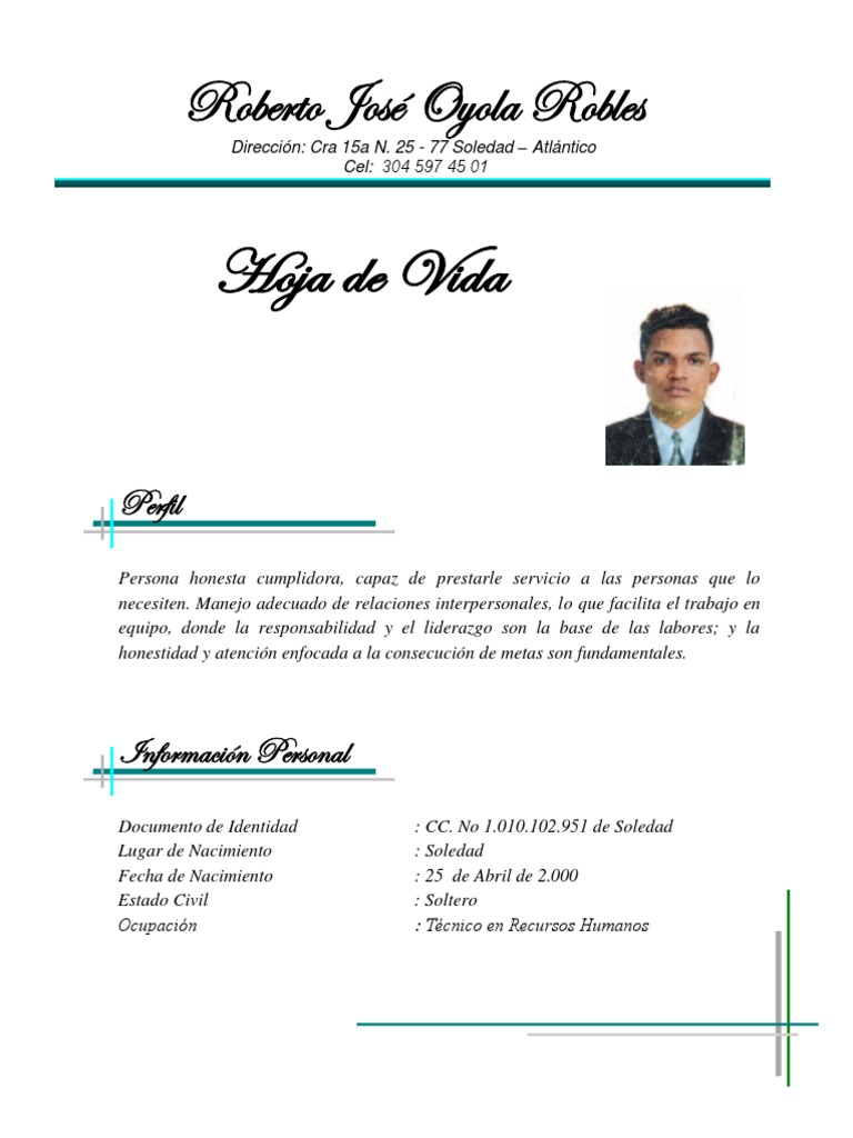 Perfil Profesional de Roberto Oyola Robles | PDF