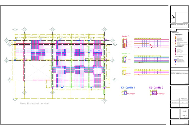 CN-TEM-TAM - Copia-1er Nivel Estructura | PDF