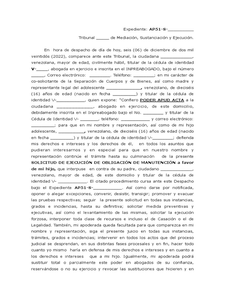 Modelo Poder Apud Acta Ejecución de La Obligación de Manutención | PDF | Justicia | Crimen y ...