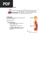 Body Cavities, Regions and Quadrants | PDF | Abdomen | Anatomy