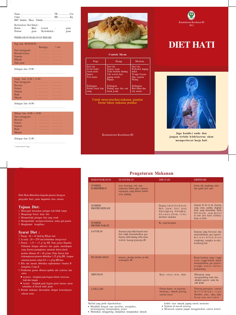 Leaflet Diet Hati | PDF