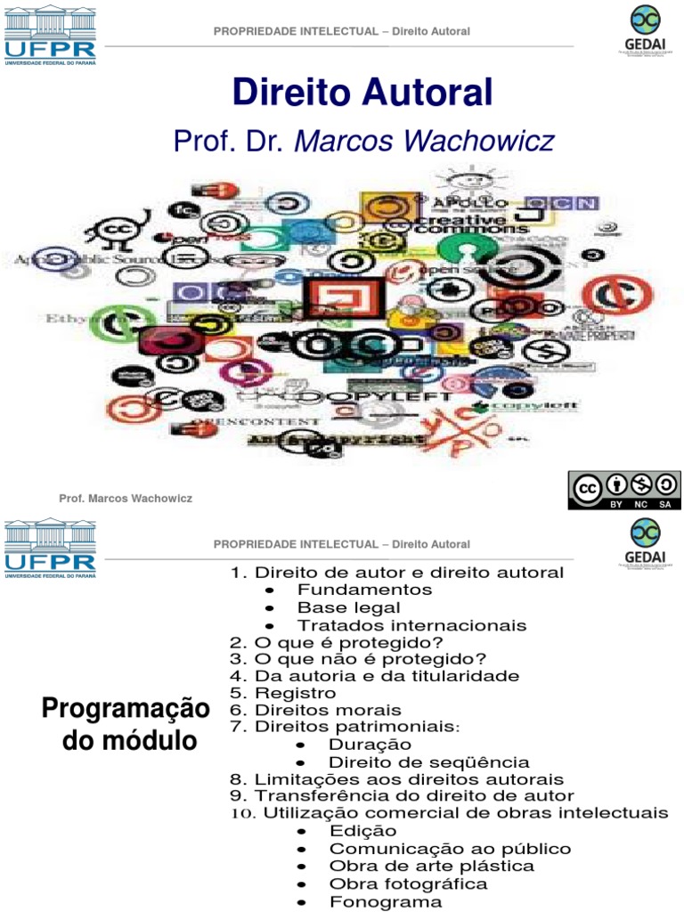 Direito Autoral Marcos Wachowicz Pdf Direitos Autorais