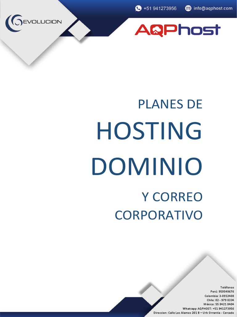 Hosting Profesional | PDF | Redes de computadoras | ciberespacio