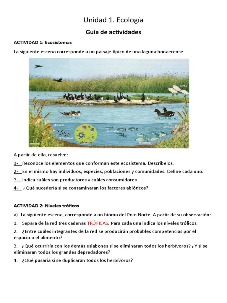Unidad 1 Ecologia Guía de Actividades | PDF | Ecología | Mosquito