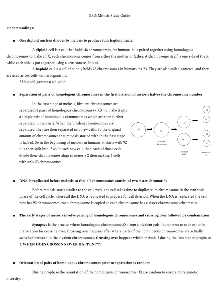 Early March, Meiosis - Mitosis Study Guide (3.3) | PDF | Meiosis ...