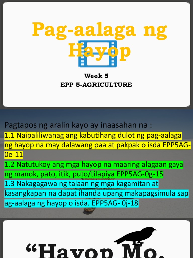 Epp 5 Lesson Week 5 | PDF