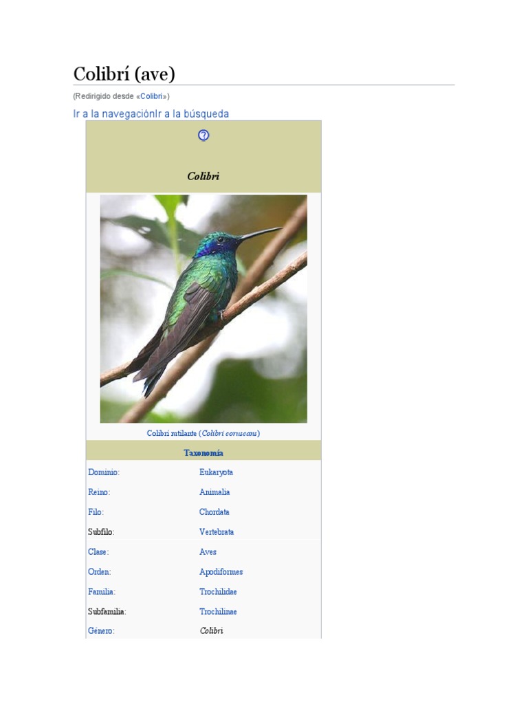 Colibris | PDF | Aves | Ornitología