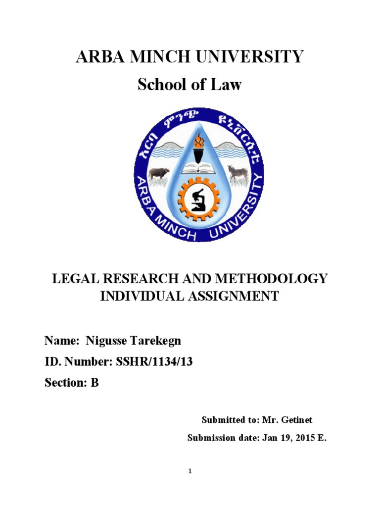 Nigusse Tarekegn Assignment | PDF | Confidence Interval | Sampling ...