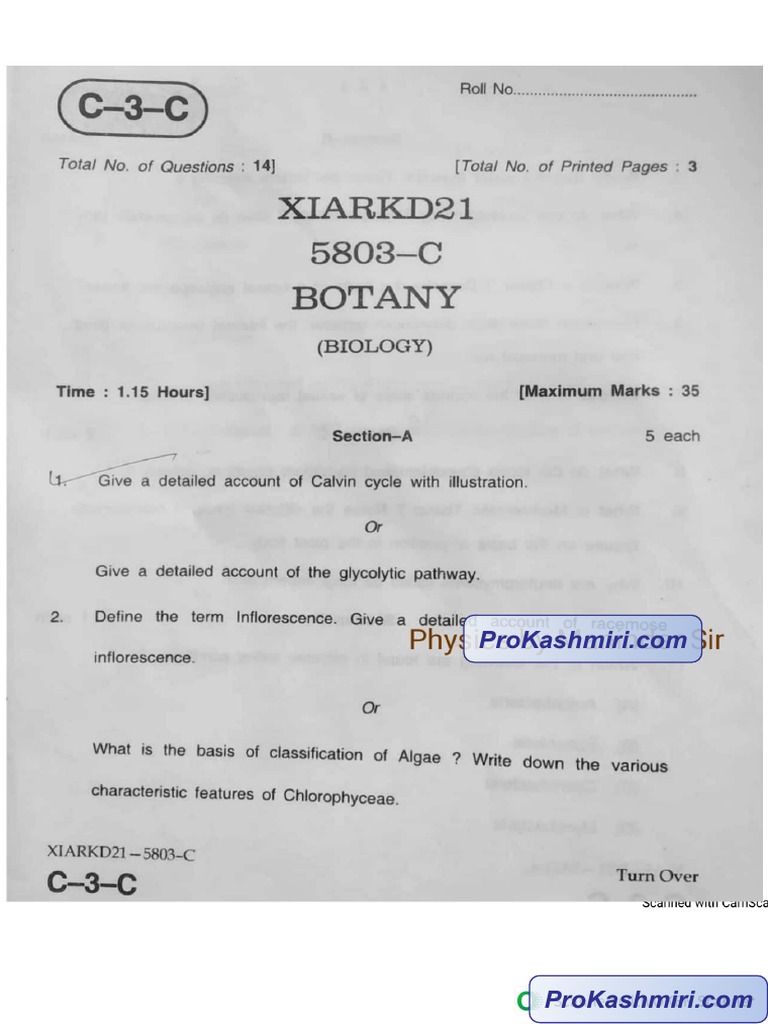 Class 11th (Botany) - Copy (PK) | PDF