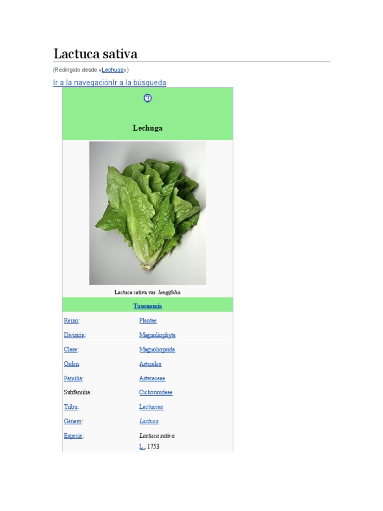 LECHUGA | Descargar gratis PDF | Lechuga | Plantas