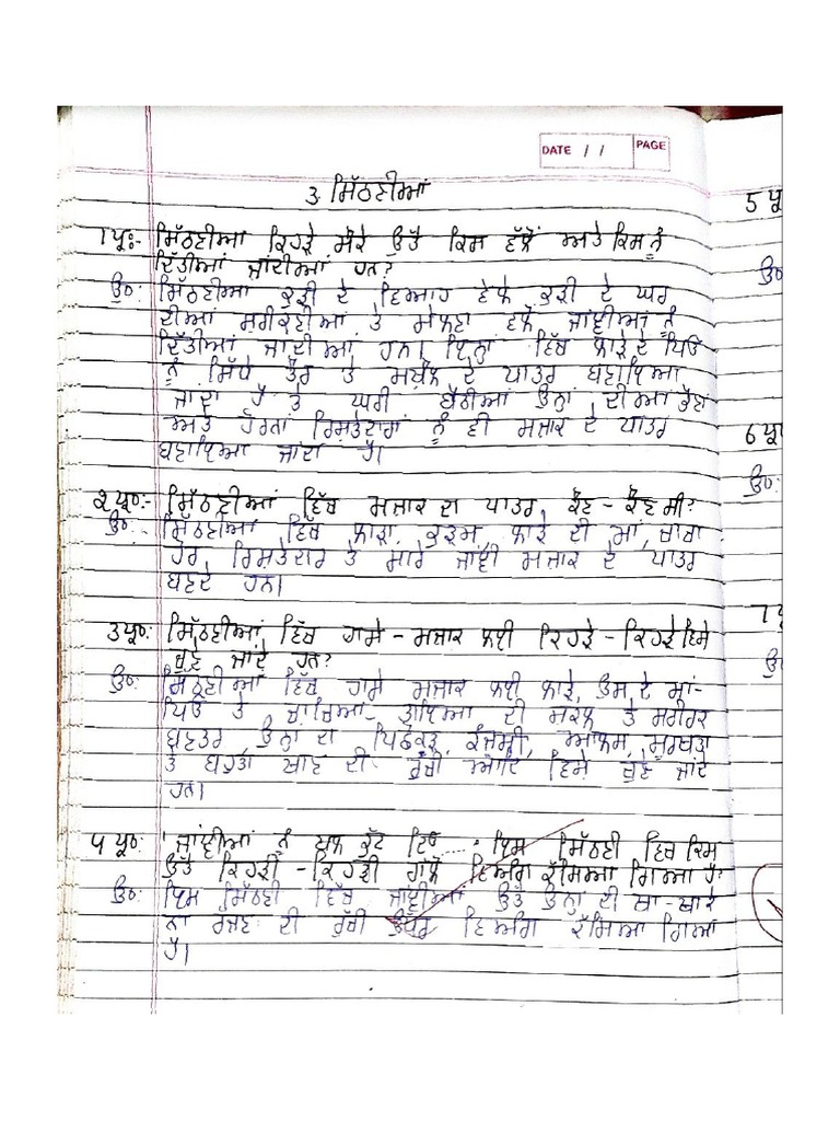 Punjabi Question Answer PDF | PDF