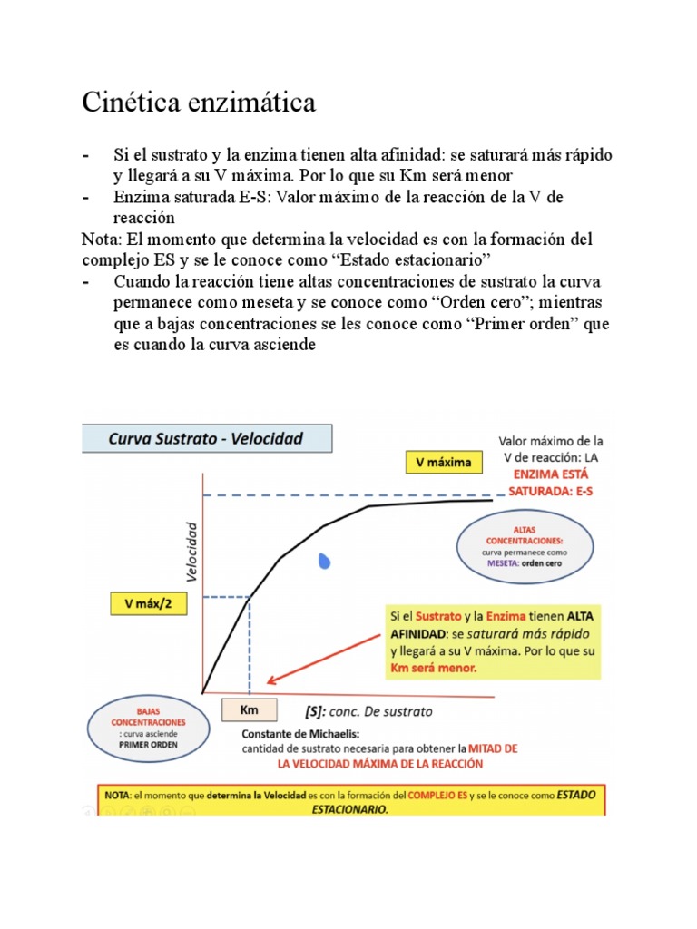 Cinética Enzimática | PDF | Enzima | Inhibidor de la enzima