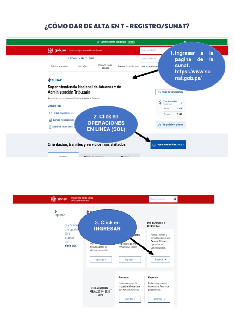 Como Dar de Alta en Sunat Manual | PDF