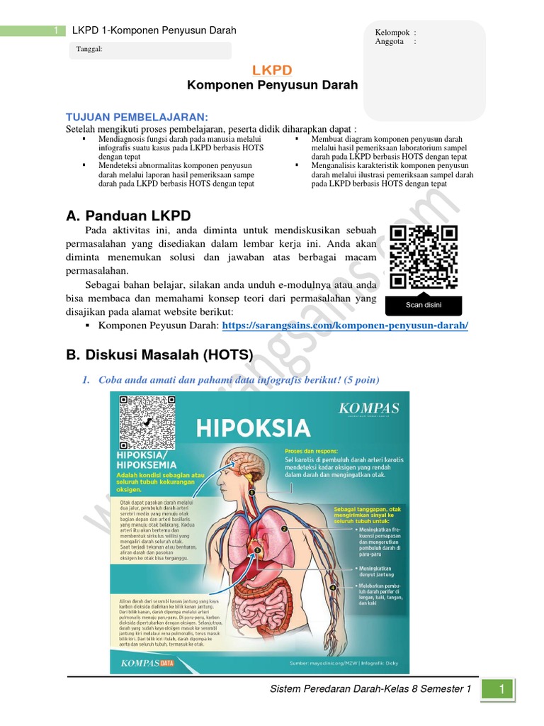 4 LKPD Pertemuan 1 HOTS PBL Sistem Peredaran Darah - Redza | PDF