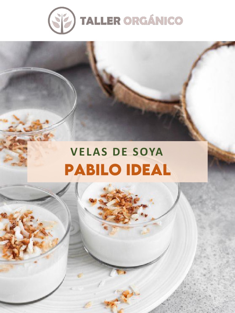 Como Elegir Nuestro Pabilo Ideal PDF | PDF | Vela