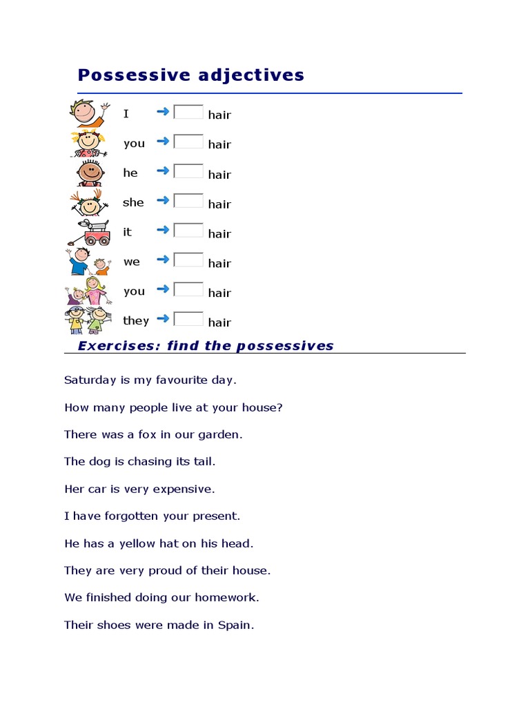 Possessive Adjectives | PDF
