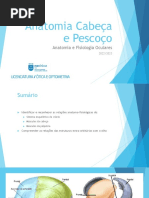 Anatomia dos Ossos da Cabeça | PDF | Crânio | Anatomia