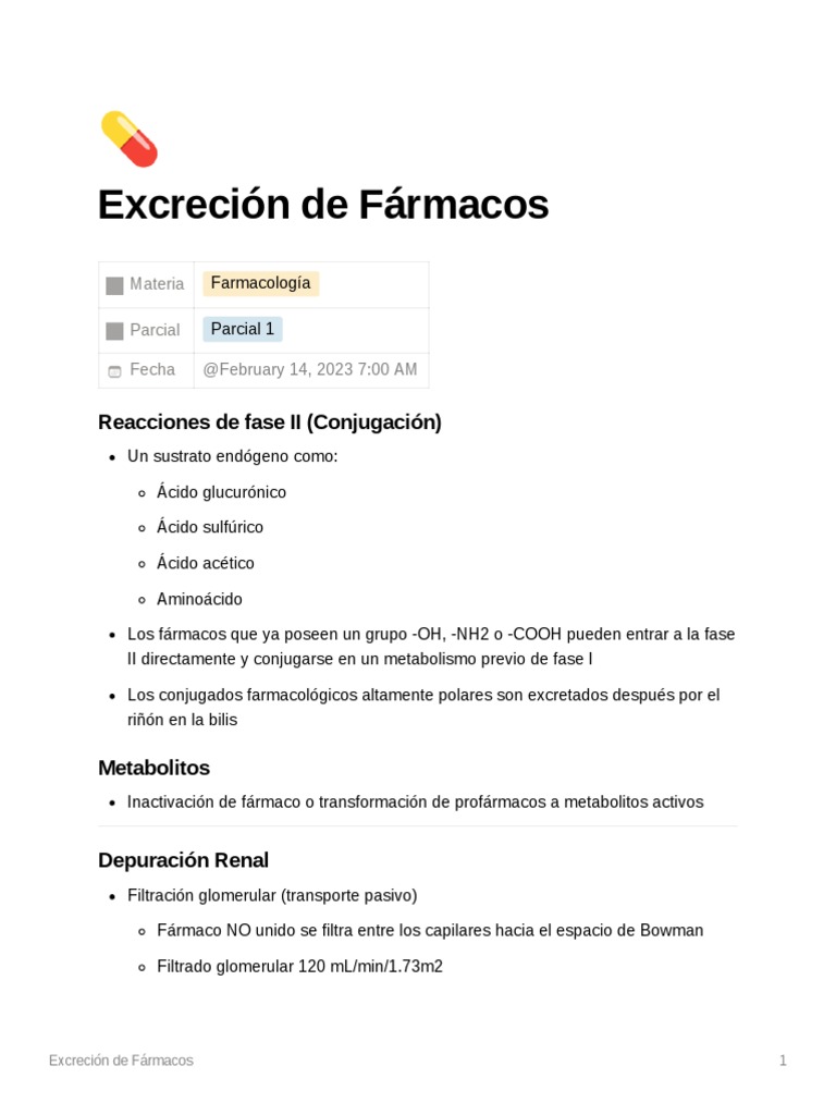 Excretación y metabolismo de fármacos: las vías de eliminación y sus ...