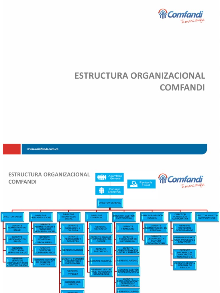Estructura - Organizacional (1) Comfandi | PDF | Negocios económicos | Economias