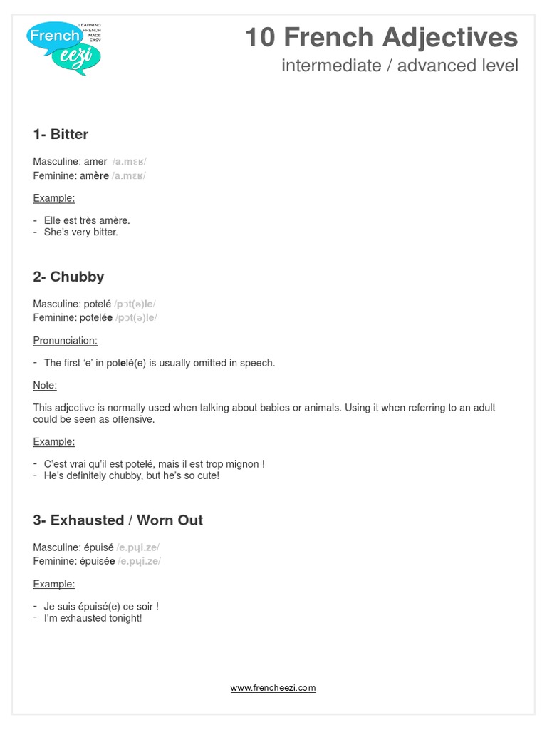 100 Common French Adjectives List | PDF | Grammatical Gender | Noun
