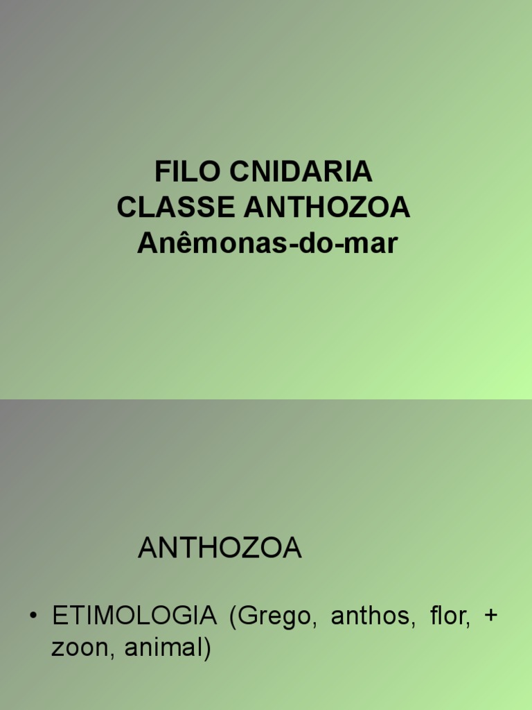 cnidários anthozoa (1) | PDF | Biologia
