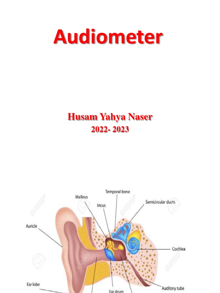 Understanding Audiometers and Hearing Loss | PDF | Headphones | Hearing
