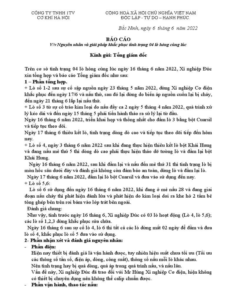 Bao Cao Lo Hay Hong Thang 5 Va 6 | PDF