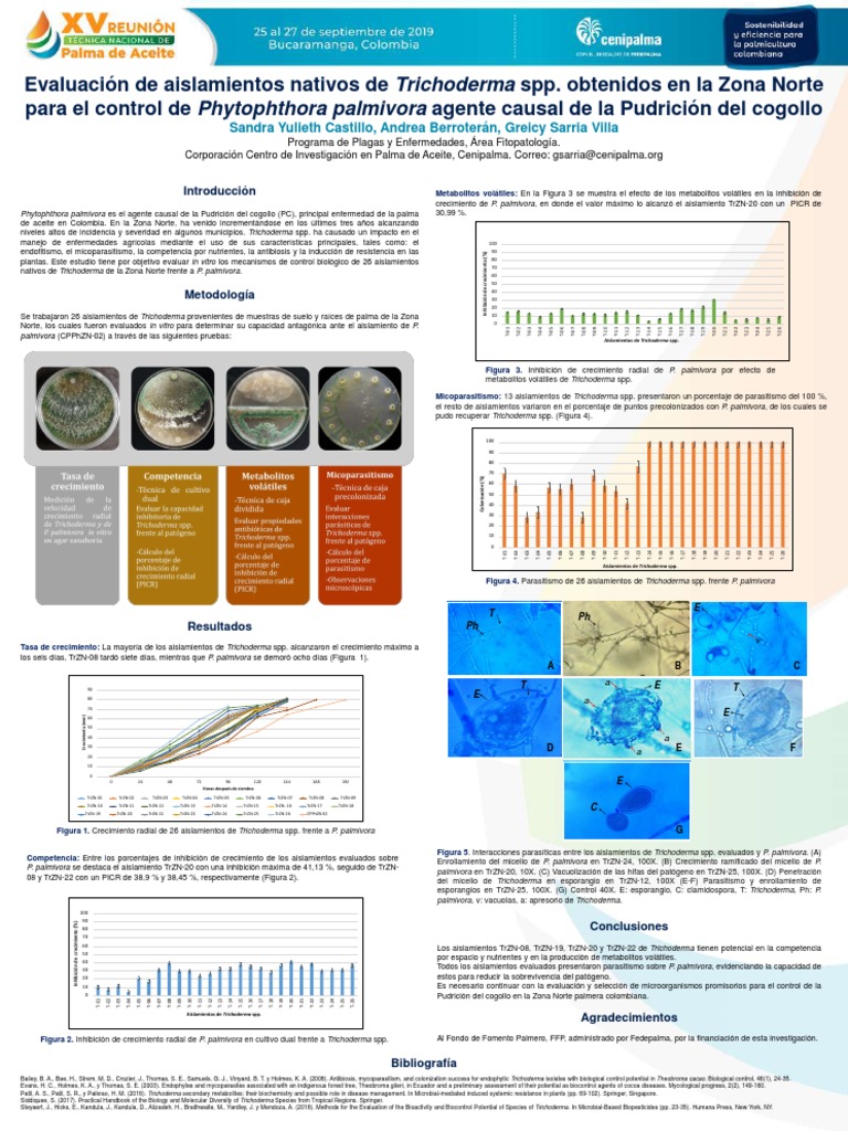Introducción: Sandra Yulieth Castillo, Andrea Berroterán, Greicy Sarria ...