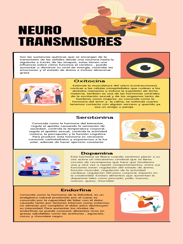 Infografia Neurotransmisores | PDF | Neurociencia | Fisiología