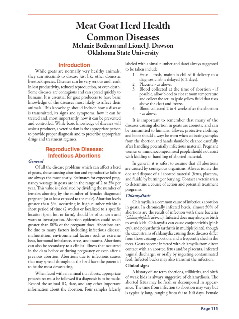 Meat Goat Herd Health Common Diseases | PDF | Infection | Miscarriage