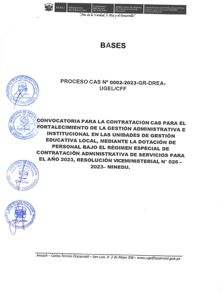 Bases Proceso Cas #0002 | PDF