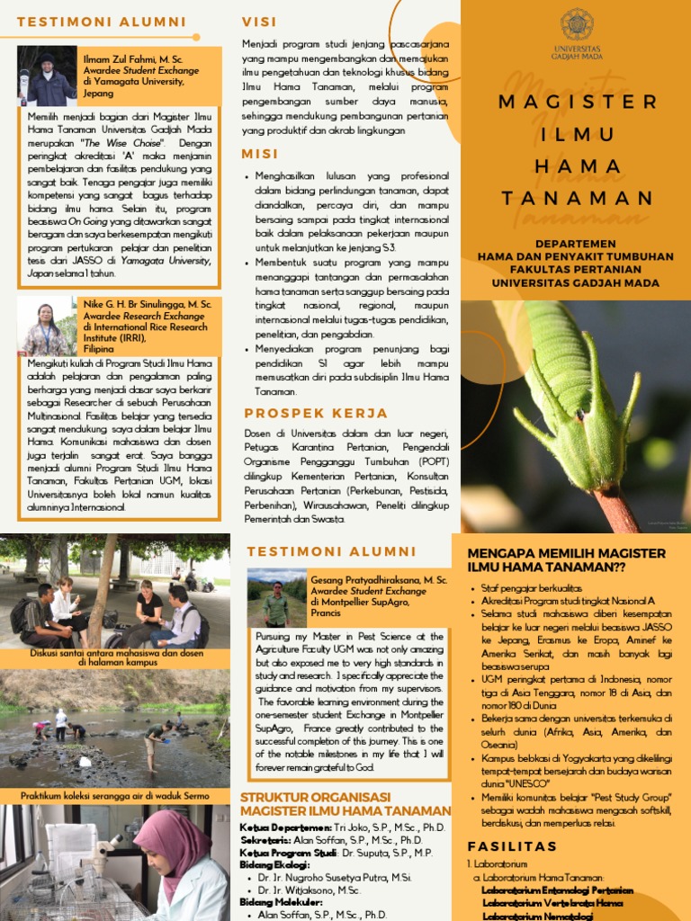 Flyer IHT 2022 2 1 | PDF