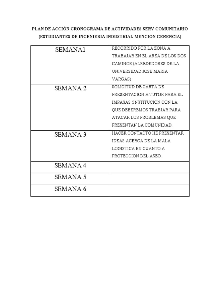 Plan de Accion Serv Comunitario | PDF